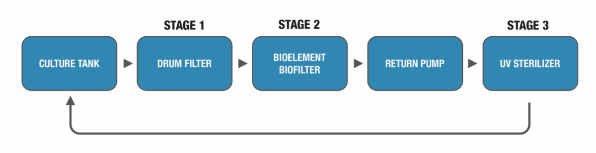 Integrated Filtration Modules (IFM) for Aquatic Systems | Integrated-Aqua