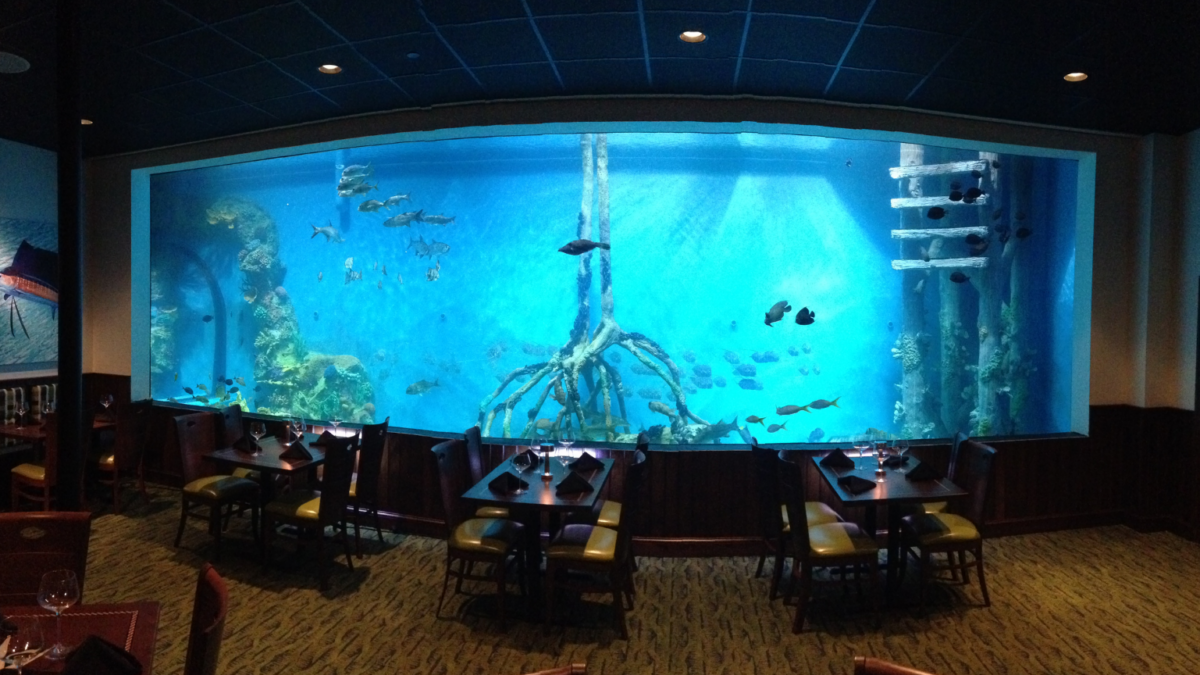 Commercial Aquatic Exhibit Systems & Equipment | Integrated Aqua ...